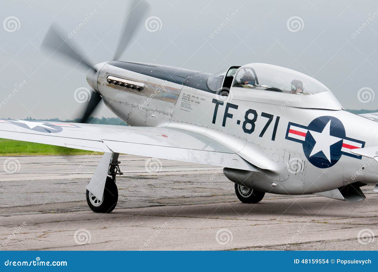 TF-51D fighter editorial stock image. Image of retro - 48159554