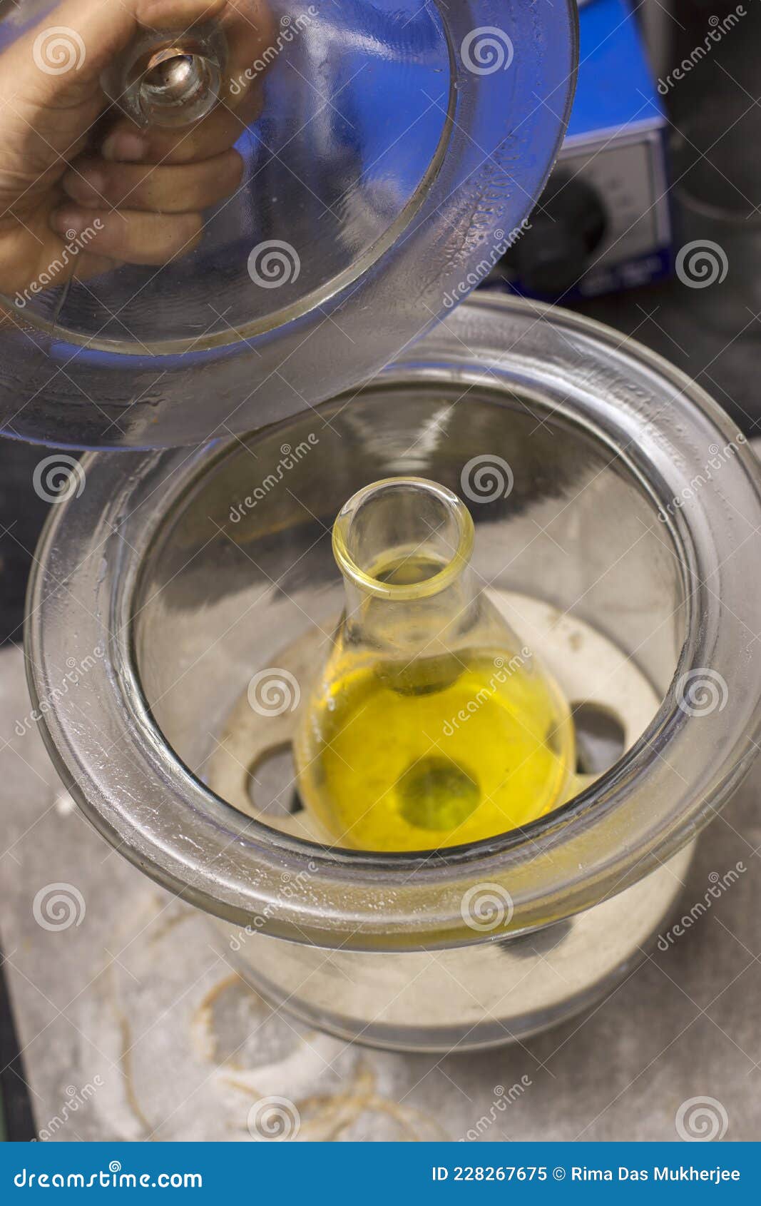 18th August, 2021, Kolkata, West Bengal,India: Different Types of ...