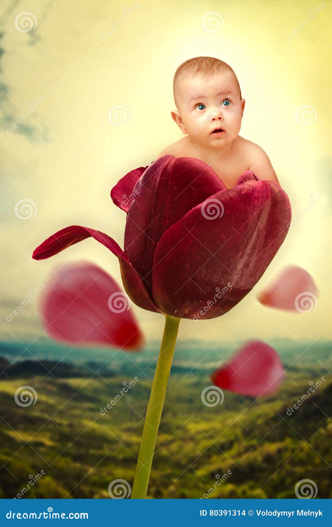 Th Baby on Red Tulip Collage Stock Photo - Image of butterfly, love ...