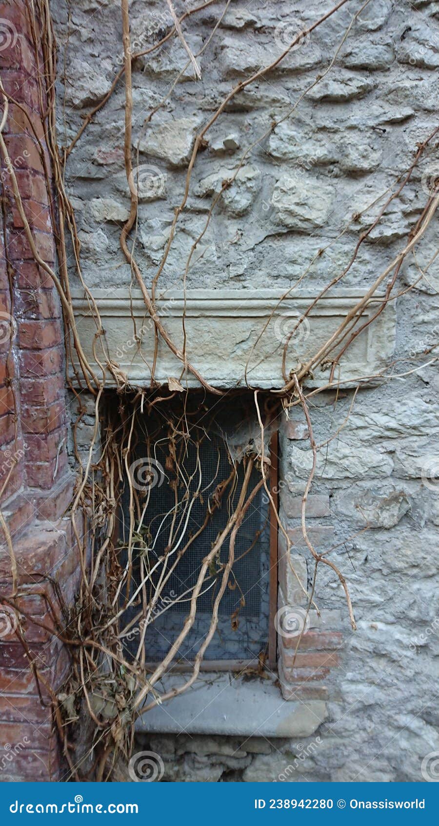 15th Century Stone Window Frame Stock Photo - Image of frame, century ...