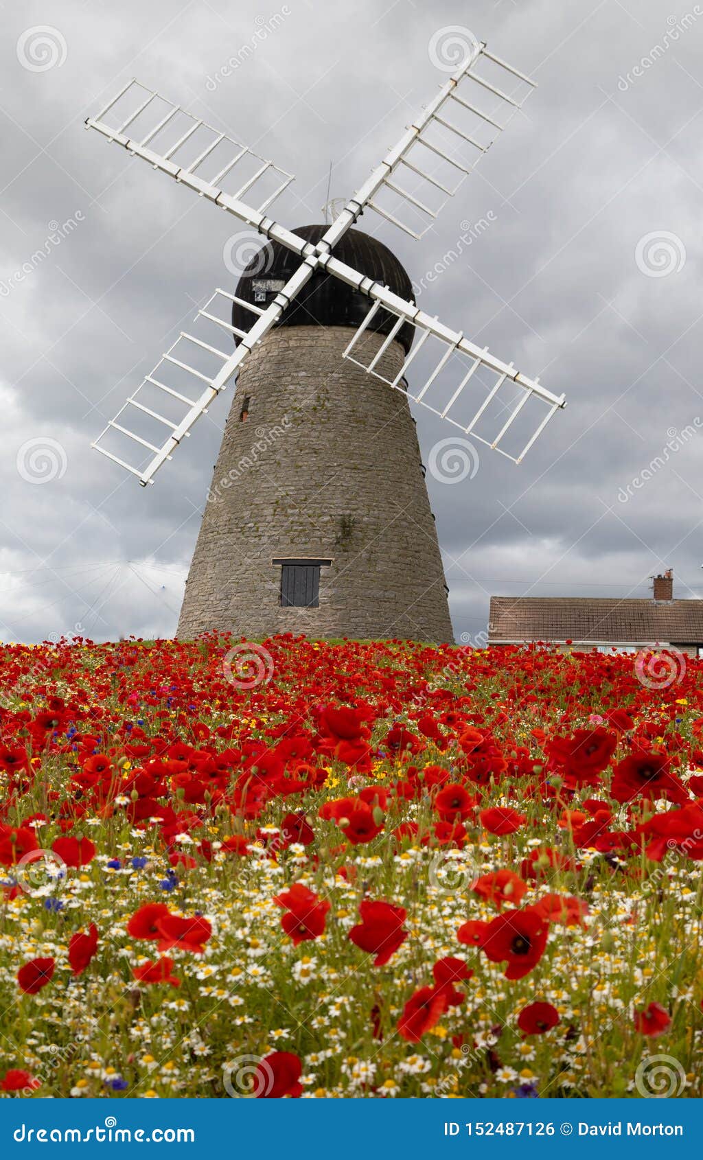 16 Th Century Whitburn Windmill Stock Photo - Image of mill, gring ...