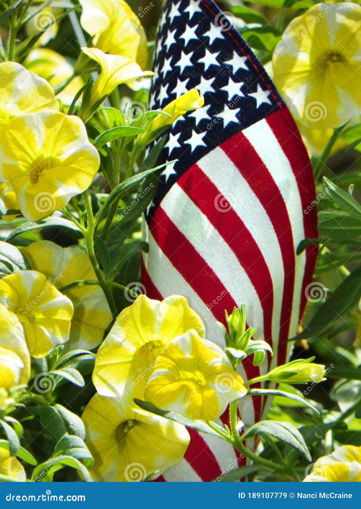 4th of July Flowers and Flag Stock Image - Image of independence ...