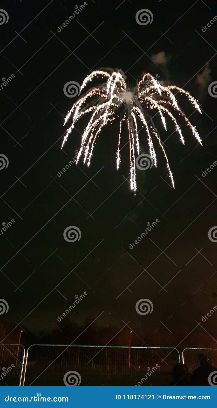 Firework display stock image. Image of firework, fakes - 118174121