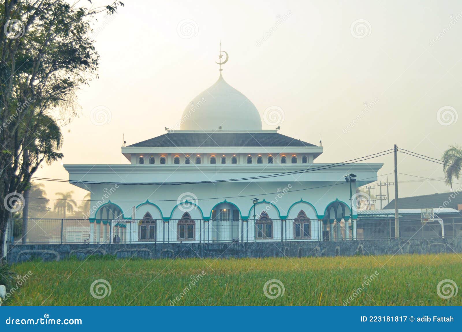 Tha Mosque with rice field stock image. Image of mosque - 223181817