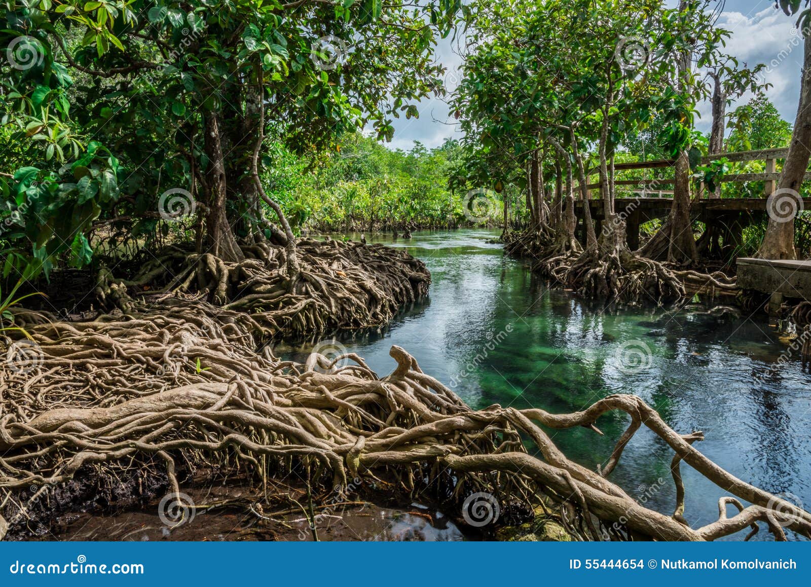 Swamp In Forest View From Drone. Swampy Landscape. View Of An ...