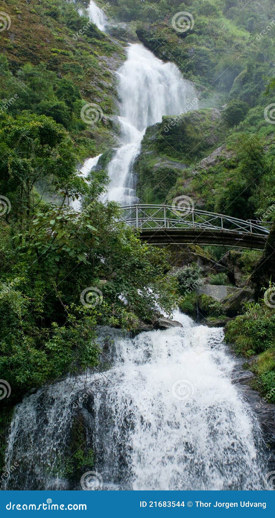 Thac Bac Waterfall in Sapa, Vietnam Stock Photo - Image of forest ...
