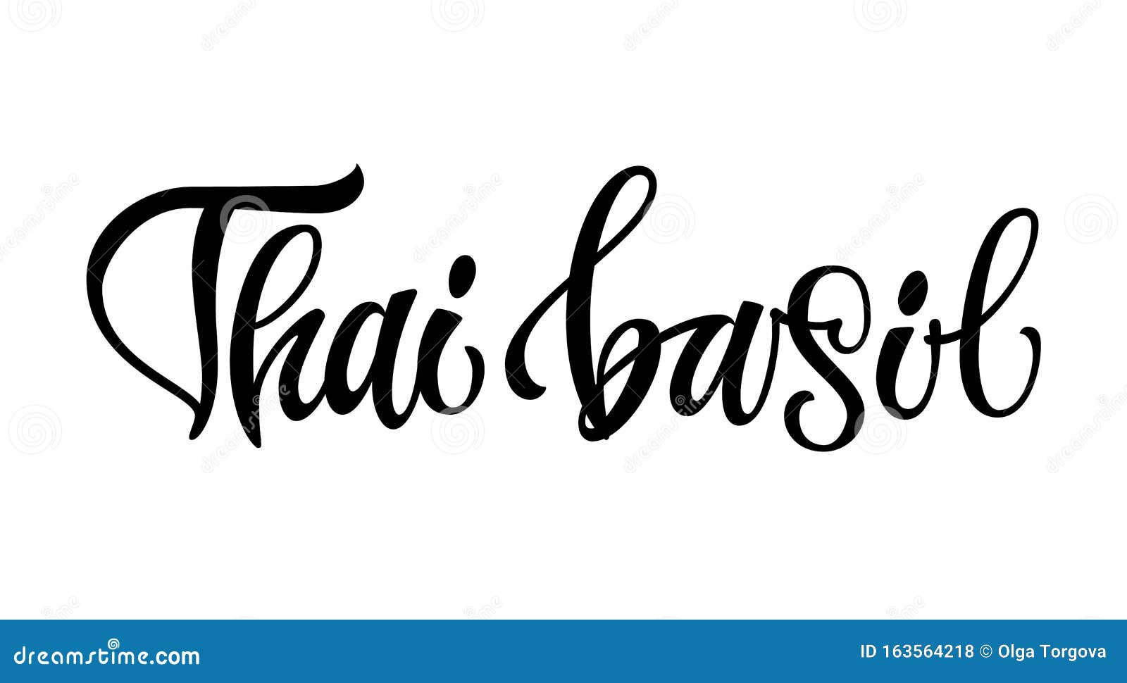 Thai Basil - Hand Drawn Spice Text. Stock Vector - Illustration of ...