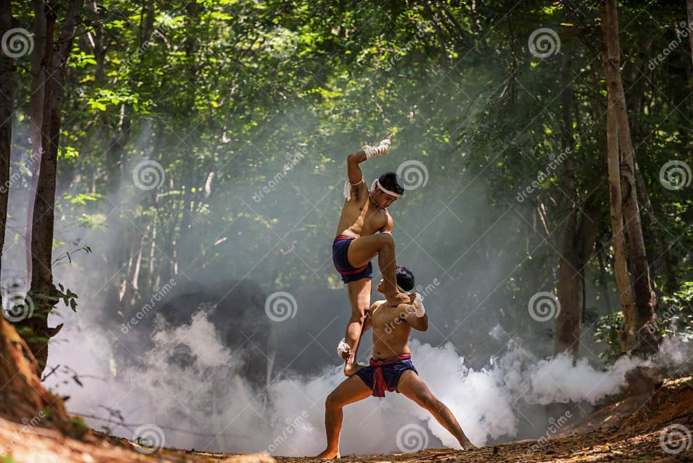 Thai Boxers Practicing Boxing in a Forest with Elephants Stock Image ...