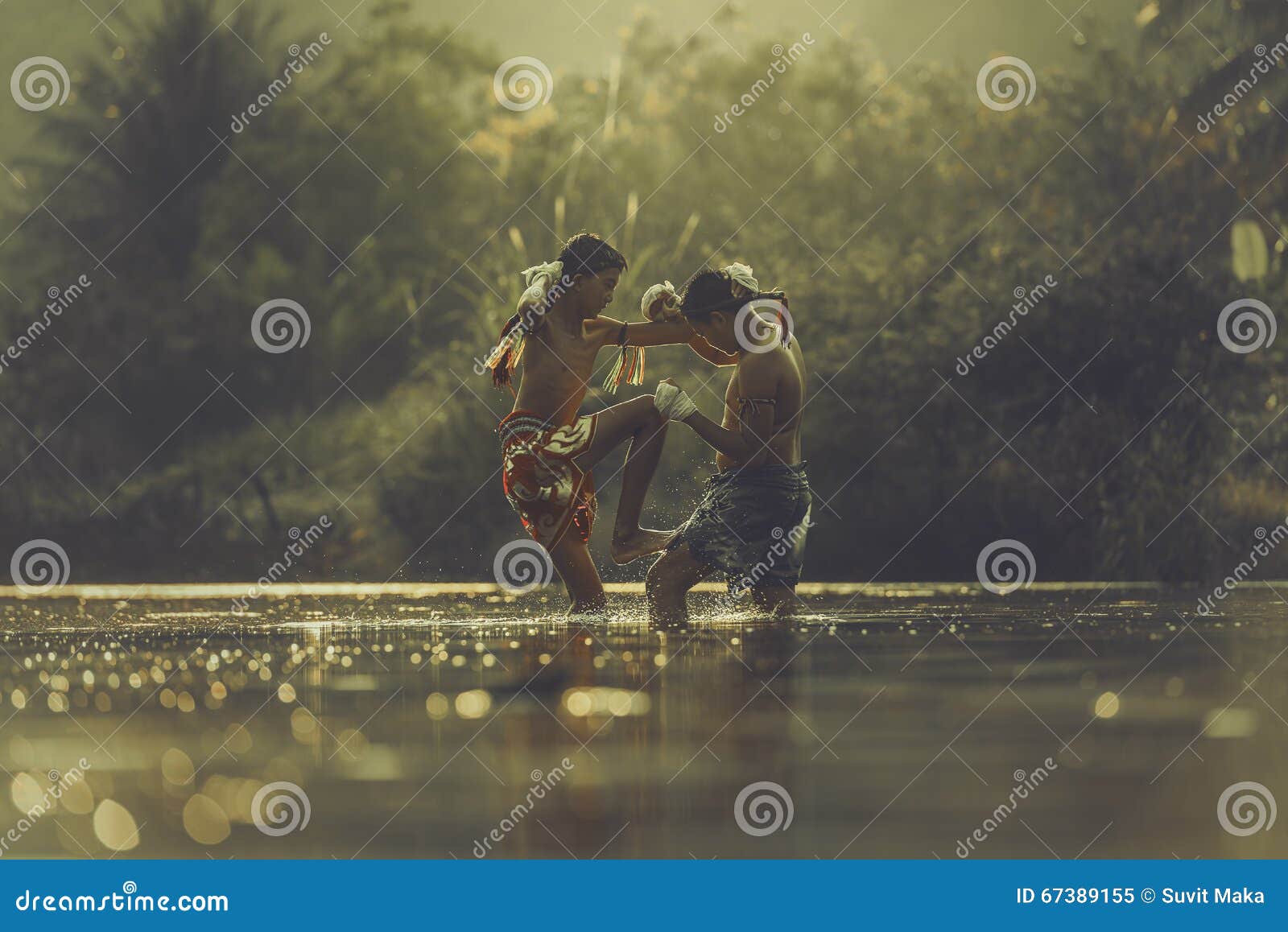 Thai boxing stock image. Image of competition, blocking - 67389155