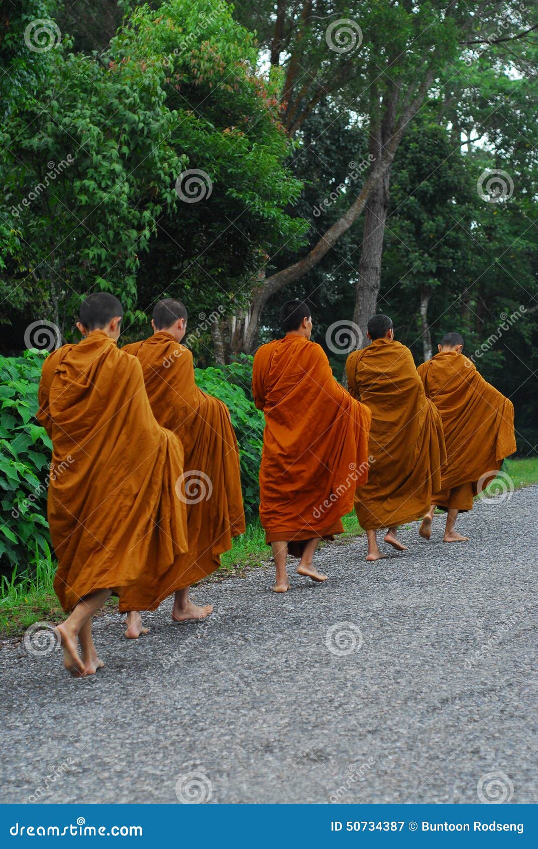 Thai Buddhist monk editorial photography. Image of morning - 50734387
