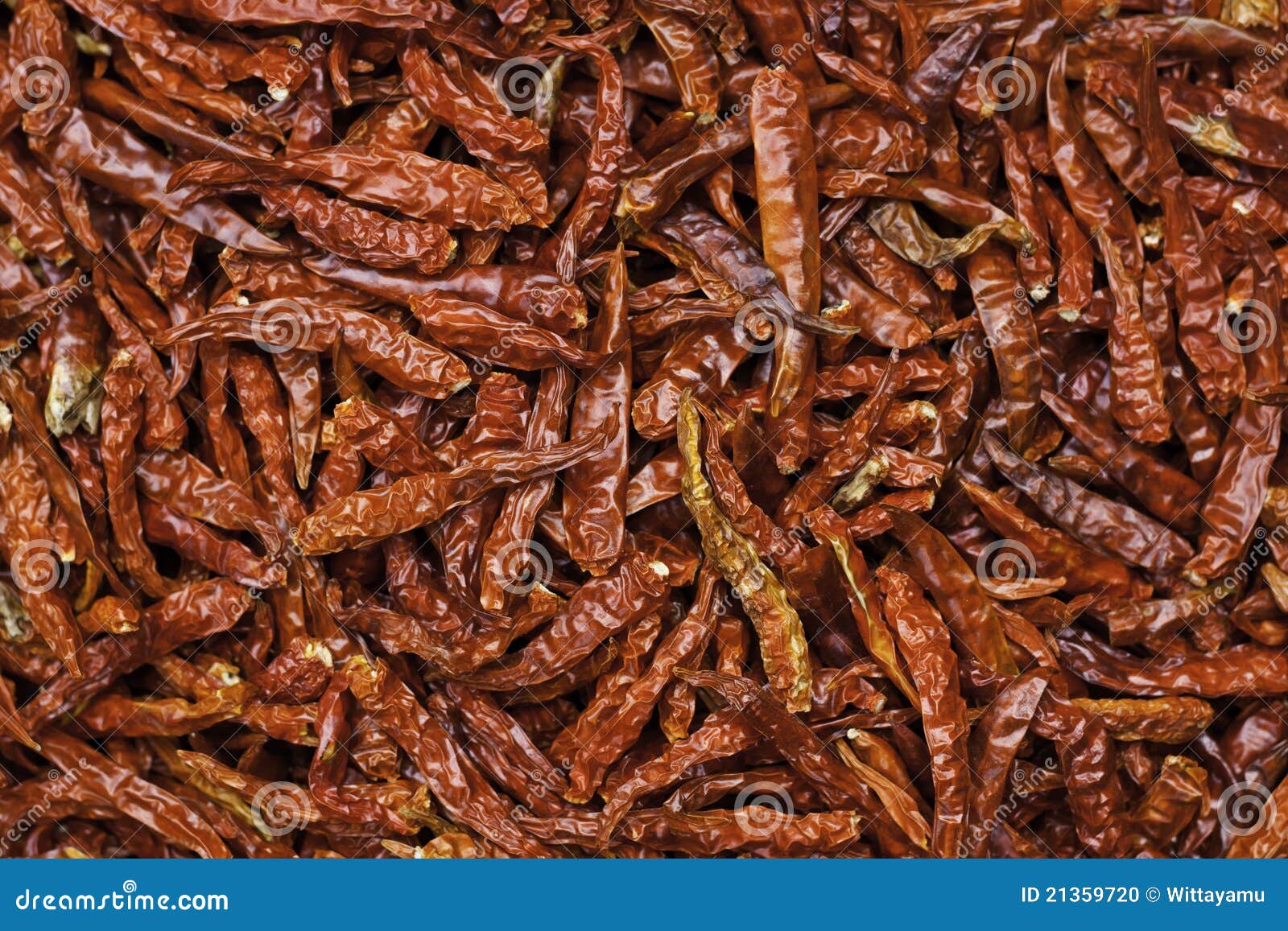 Thai Chilli stock photo. Image of harvest, culinary, closeup - 21359720