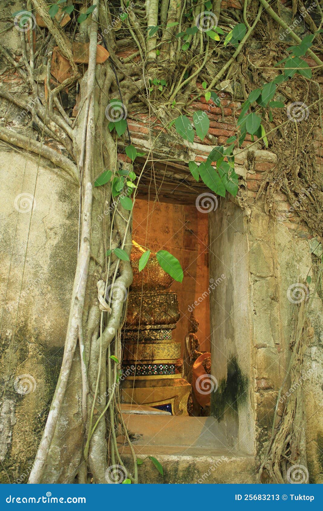 Thai Church Surrounded by Tree Roots Stock Image - Image of church ...