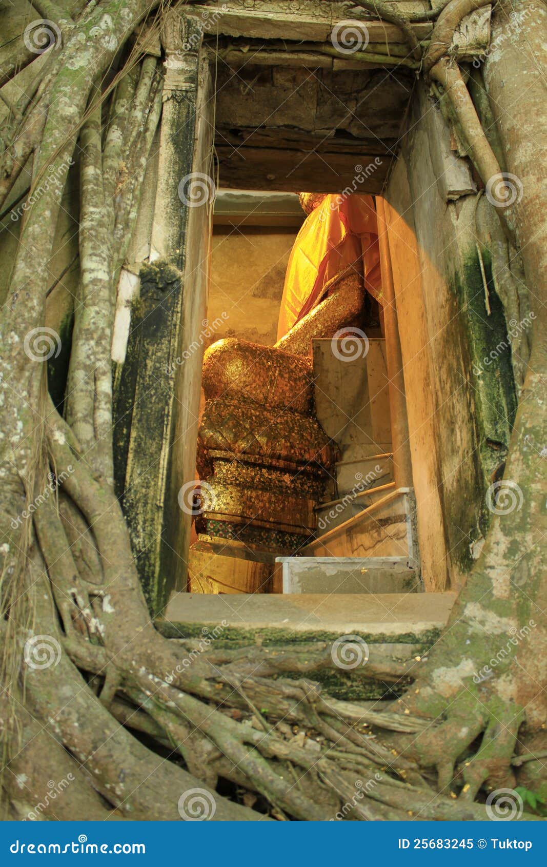 1,154 Church Roots Stock Photos - Free & Royalty-Free Stock Photos from ...