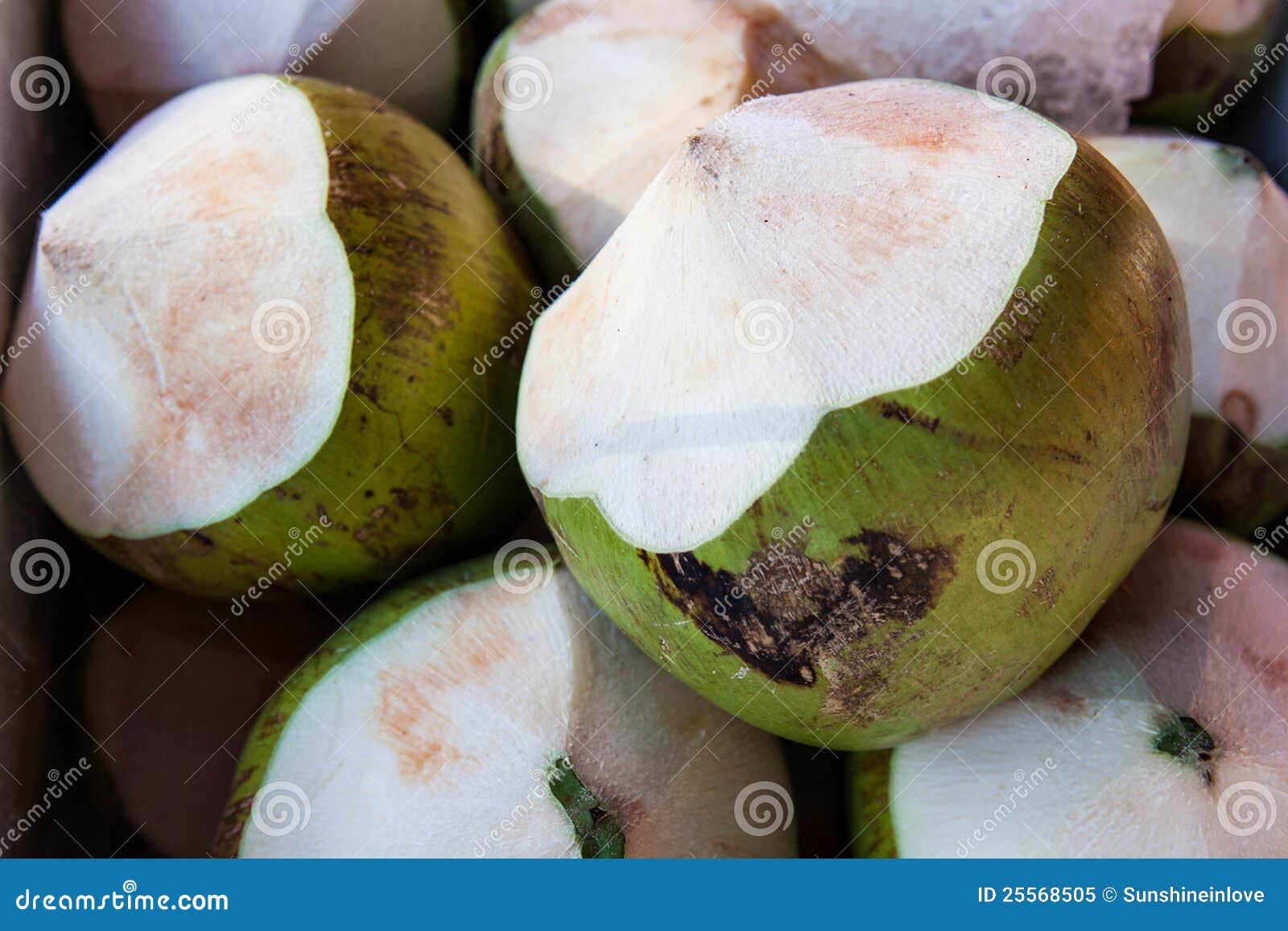 Thai coconuts stock image. Image of coco, freshness, juice - 25568505