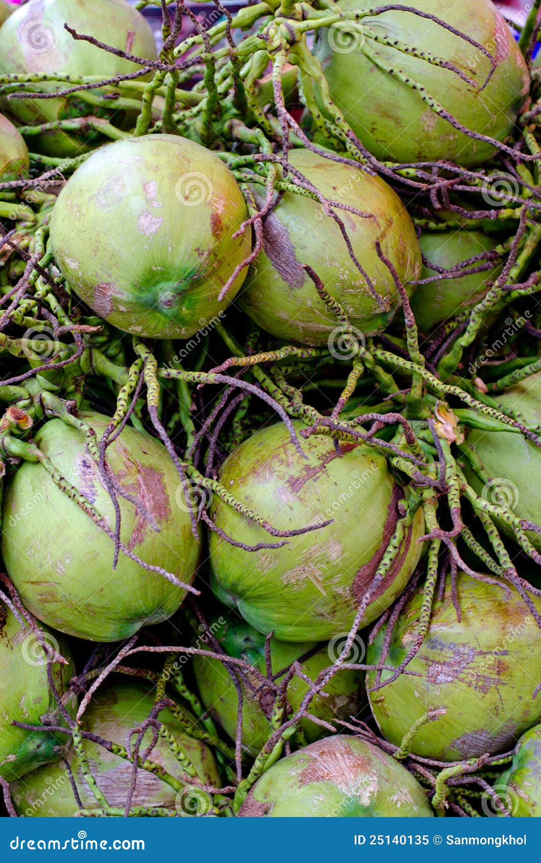Thai coconuts in Thailand. stock image. Image of food - 25140135