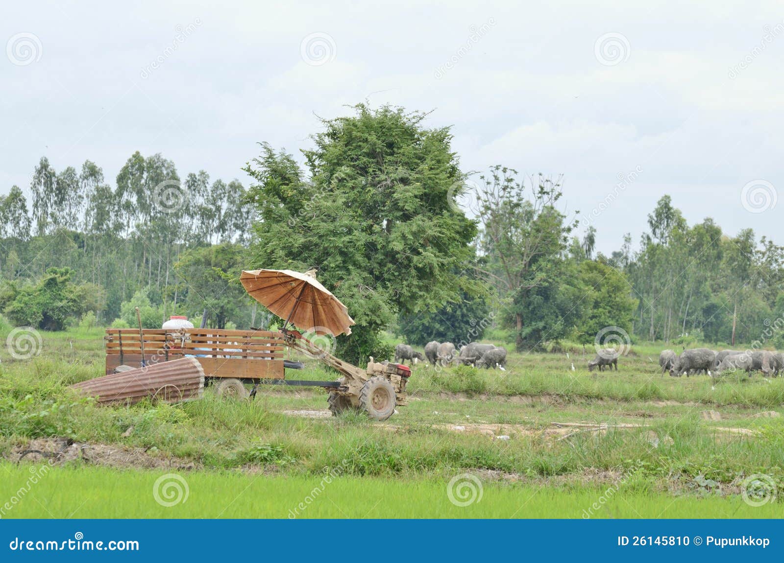 Thai country tractor stock photo. Image of earth, nature - 26145810