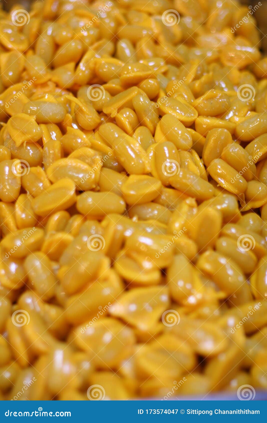 Mock Jack Fruit Seeds In The Clear Plastic Box Horizontal 1 Royalty ...