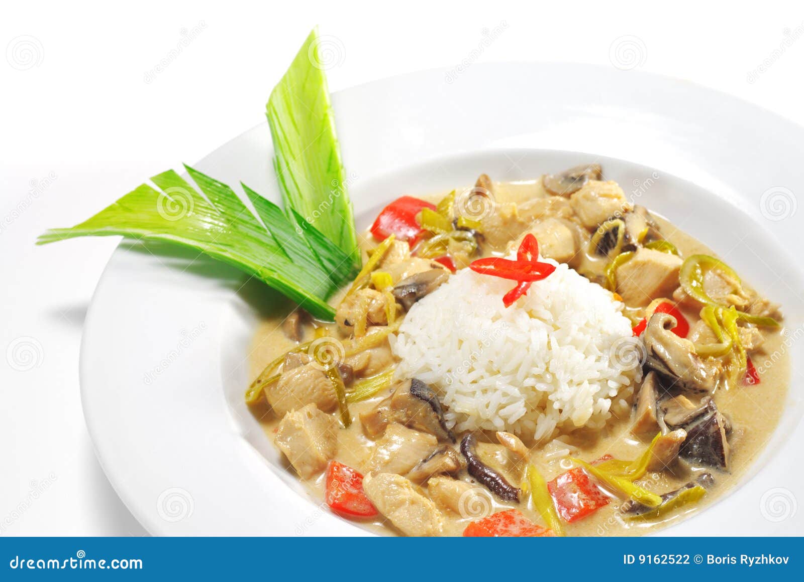 Thai Dishes - WOK Chicken stock photo. Image of baked - 9162522