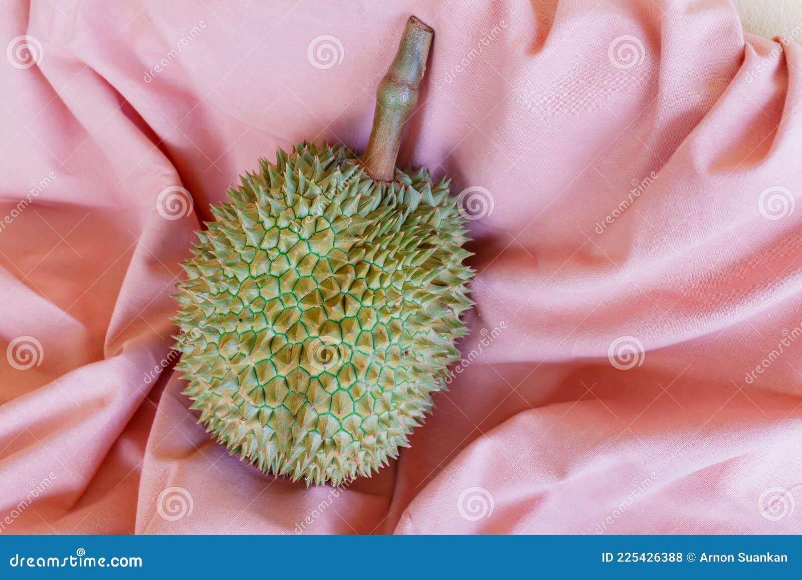 Thai Durian Fruit for Export Stock Photo - Image of season, thai: 225426388