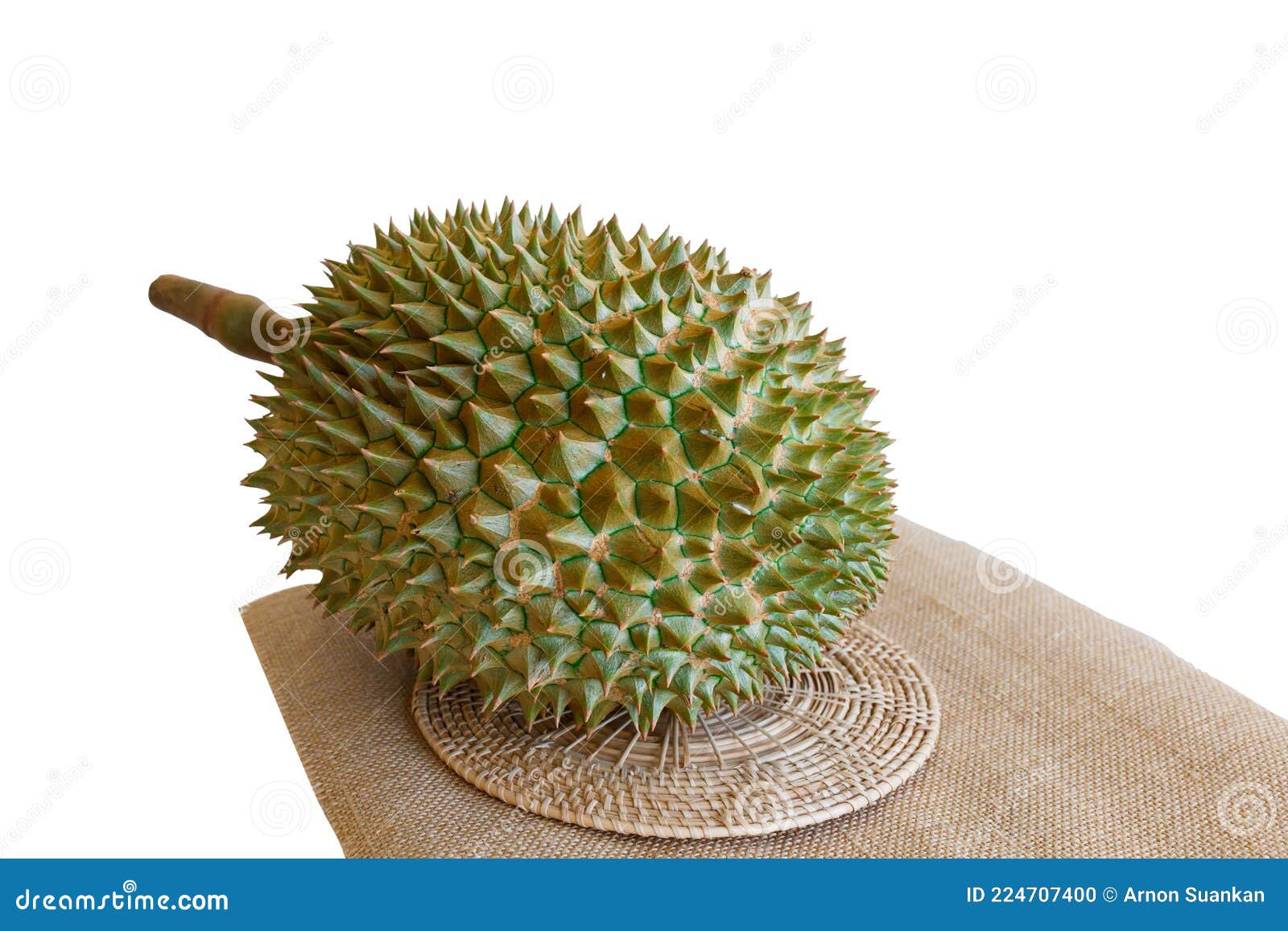 Thai Durian Fruit for Export Stock Photo - Image of sweet, exotic ...