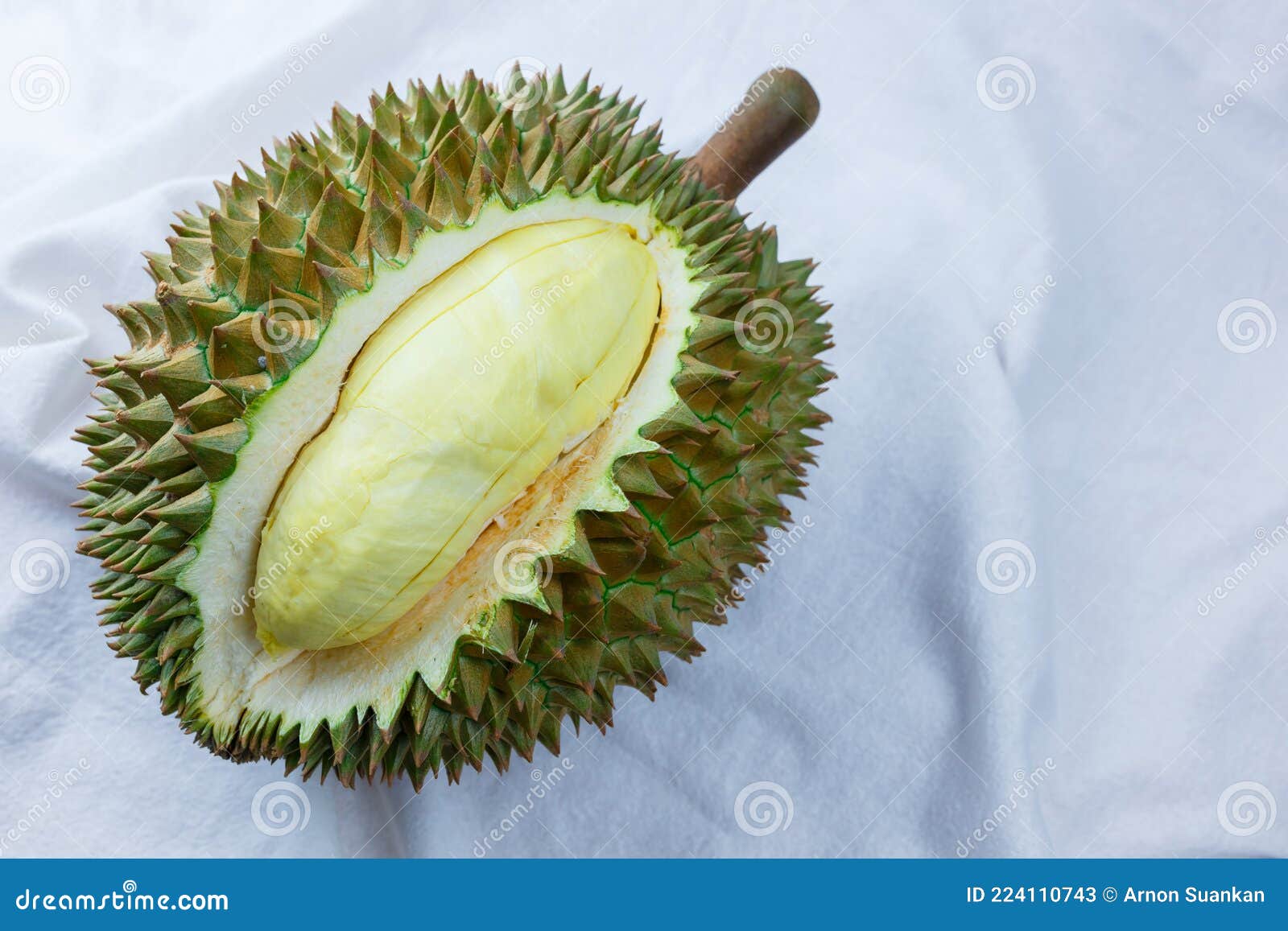 Thai Durian, Tropical Fruit Stock Photography | CartoonDealer.com #56489786