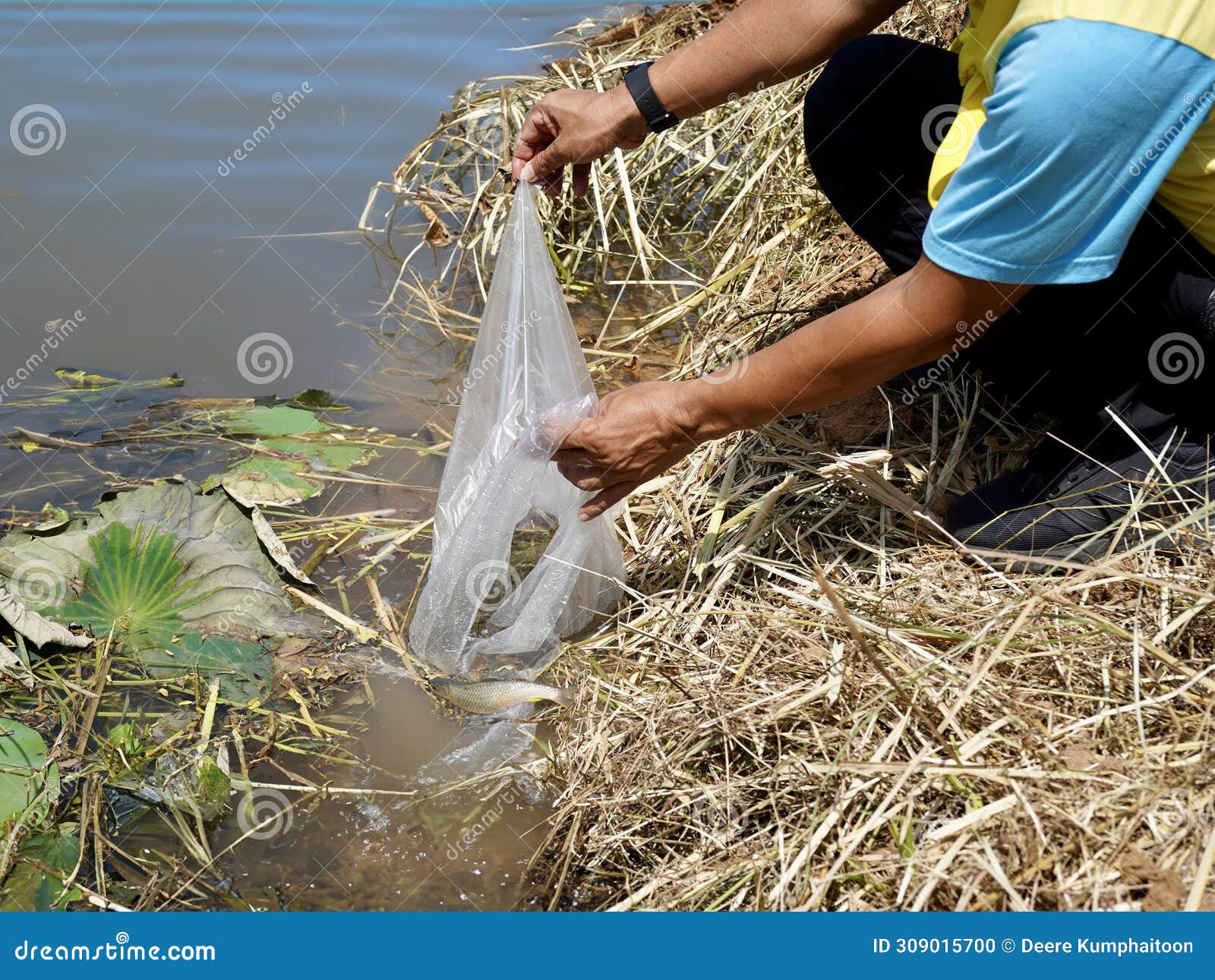 Thai Early Man Release the Fish in River Side Water and Save Earth ...