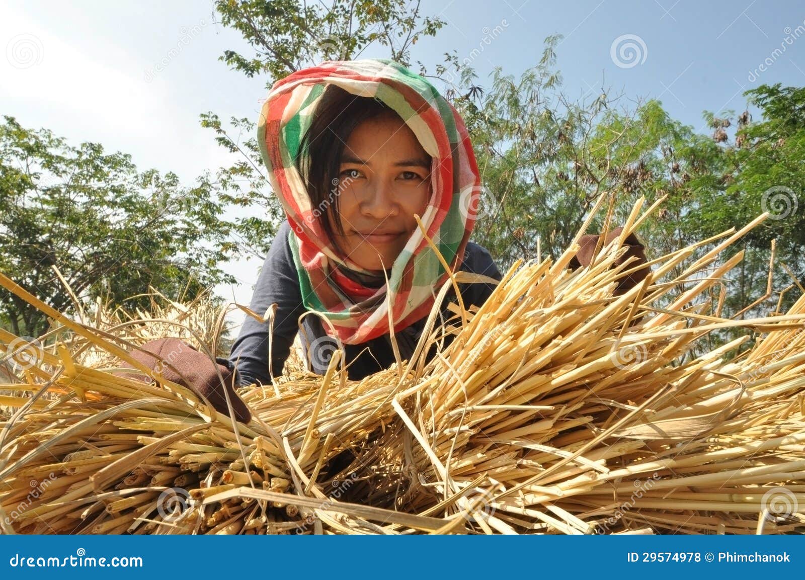Thai farmer editorial stock photo. Image of peace, climate - 29574978