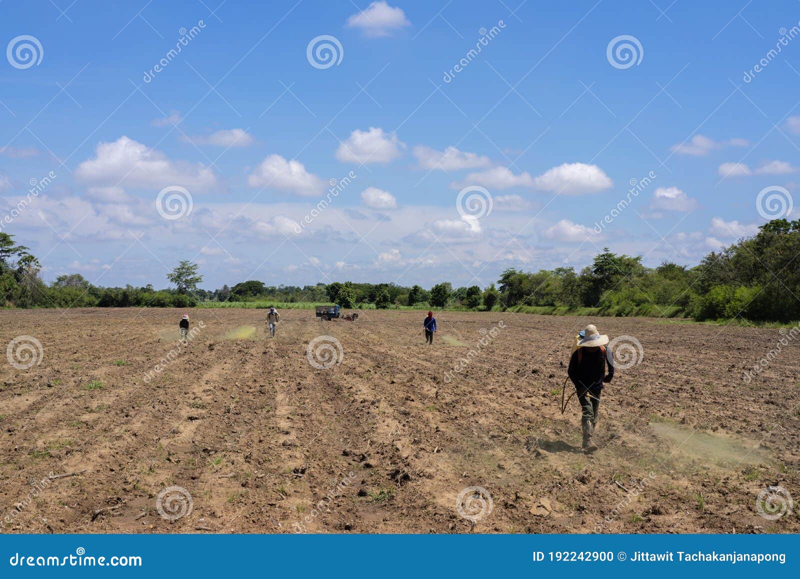 Thai Farmer Spraying Insecticide Stock Photo - Image of farming, grass ...