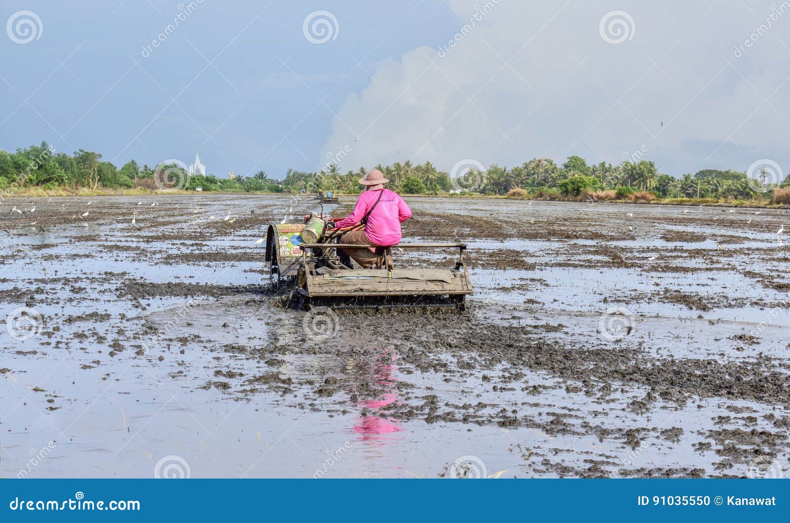 Thai Farmer Using Tiller Tractor in Rice Field Editorial Image - Image ...