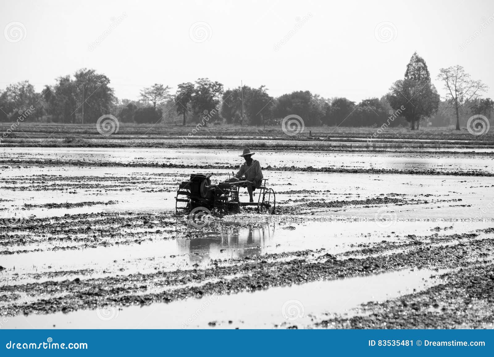 Thai Farmer Using Tiller Tractor in Rice Field Editorial Photo - Image ...