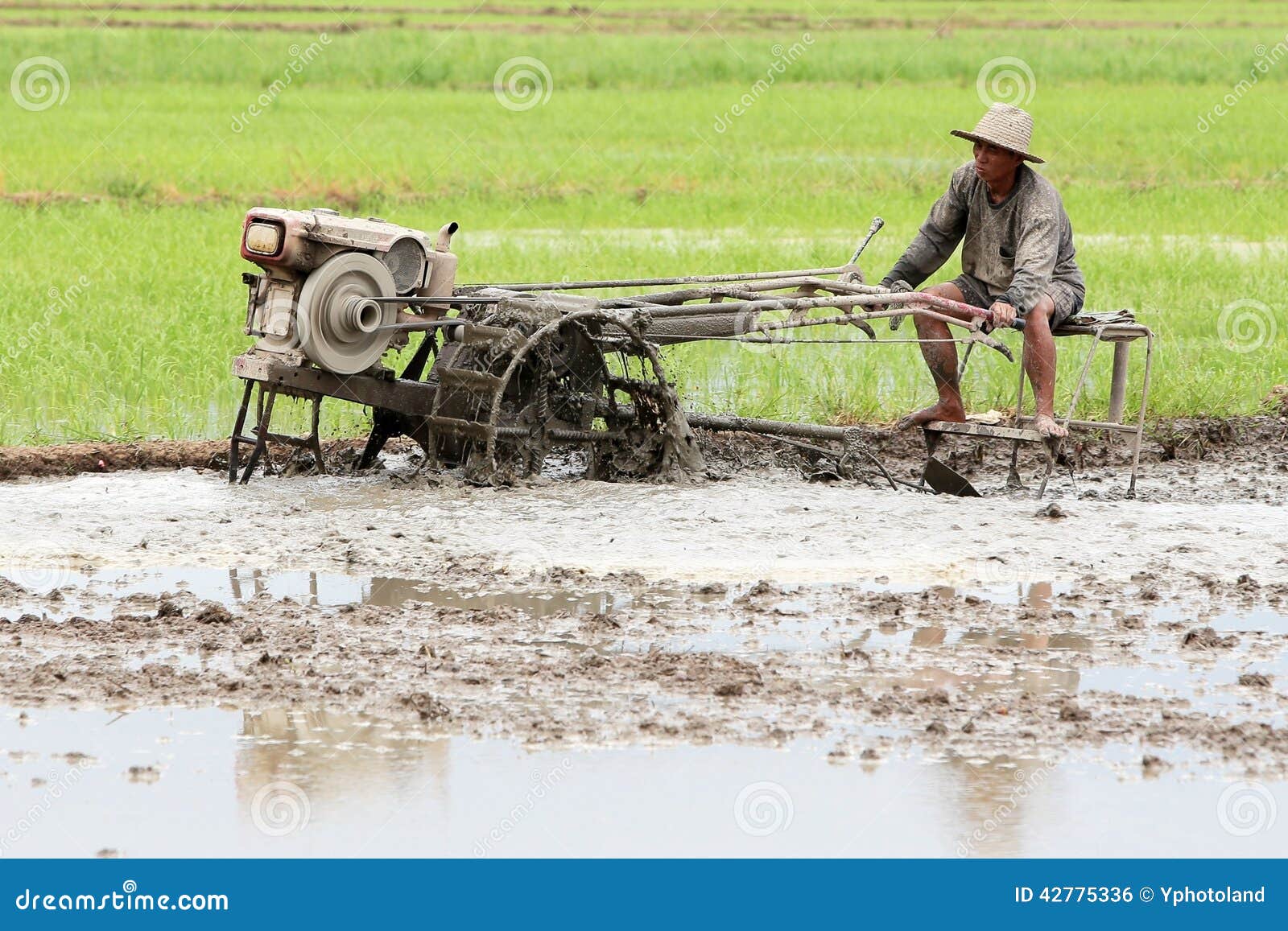 Wheel Plow Or Wheel Plough Parked At Green Rice Paddy Field ...