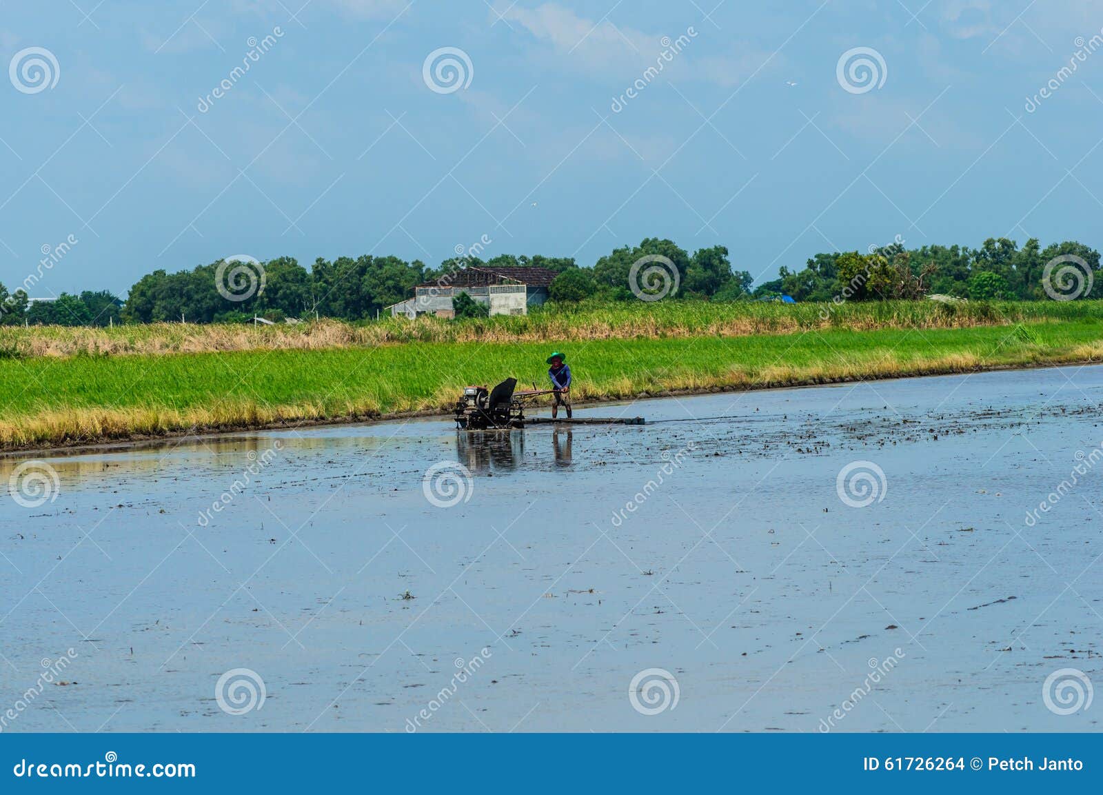 Thai Farmers Working with a Handheld Motor Plow in a Rice Stock Photo ...