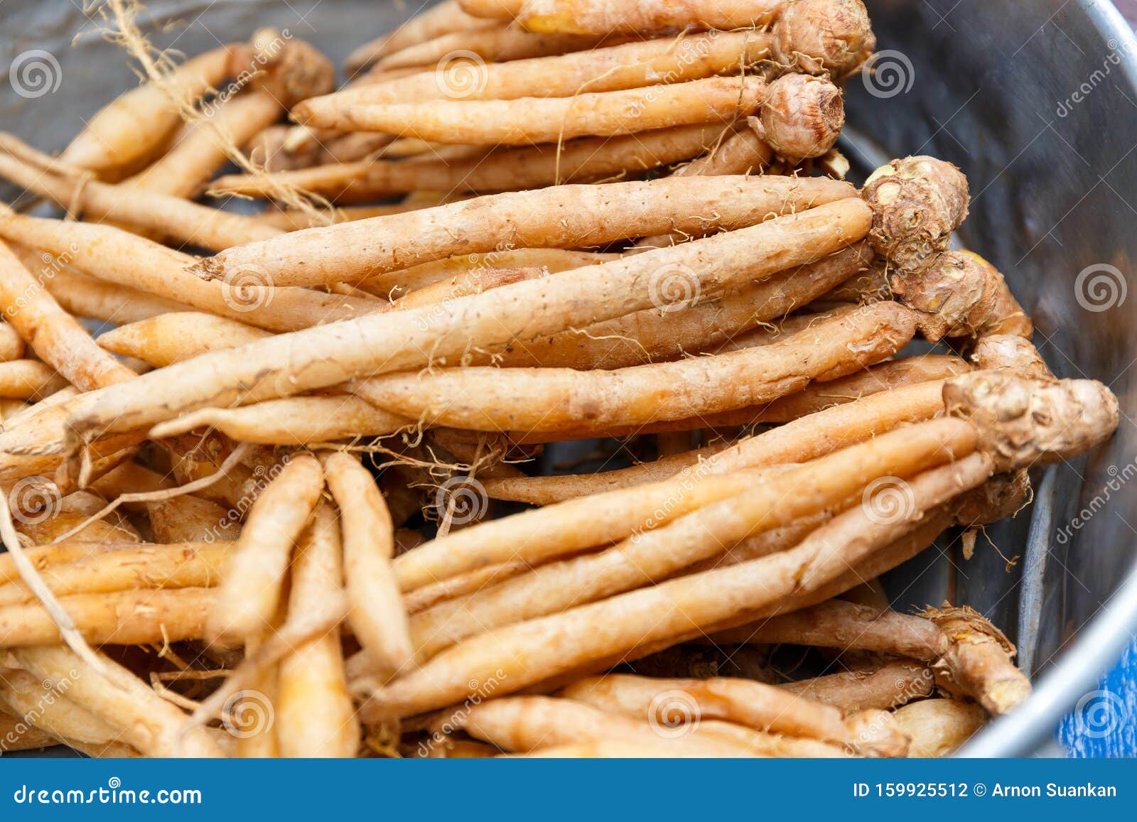 Thai Fingerroot for Cooking Stock Photo - Image of gourmet, herbaceous ...