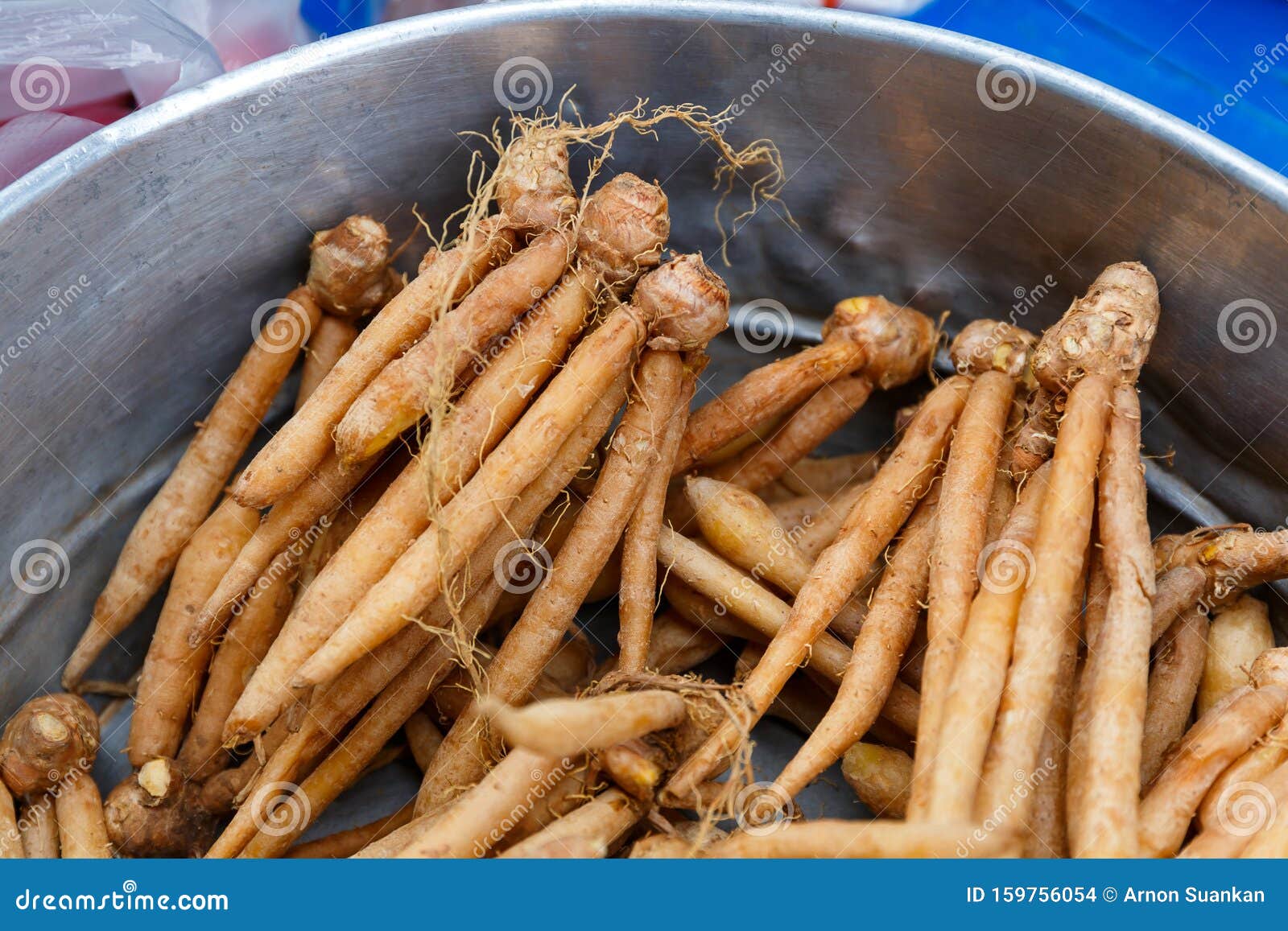 Thai Fingerroot for Cooking Stock Photo - Image of traditional, nature ...
