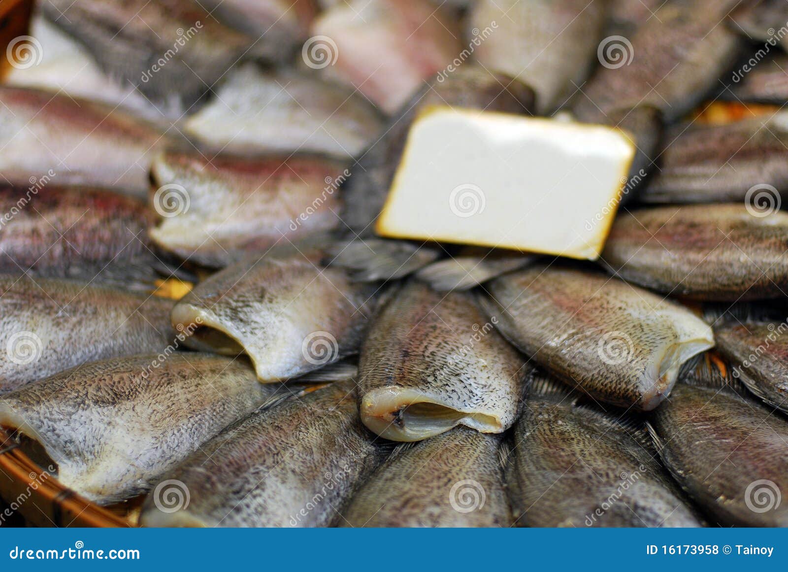 Thai fish in the market. stock photo. Image of head, fresh - 16173958