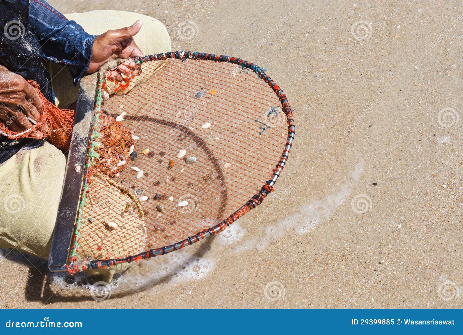 A Thai Fisherman is Searching for Shells (Pharella Javanica) Stock ...