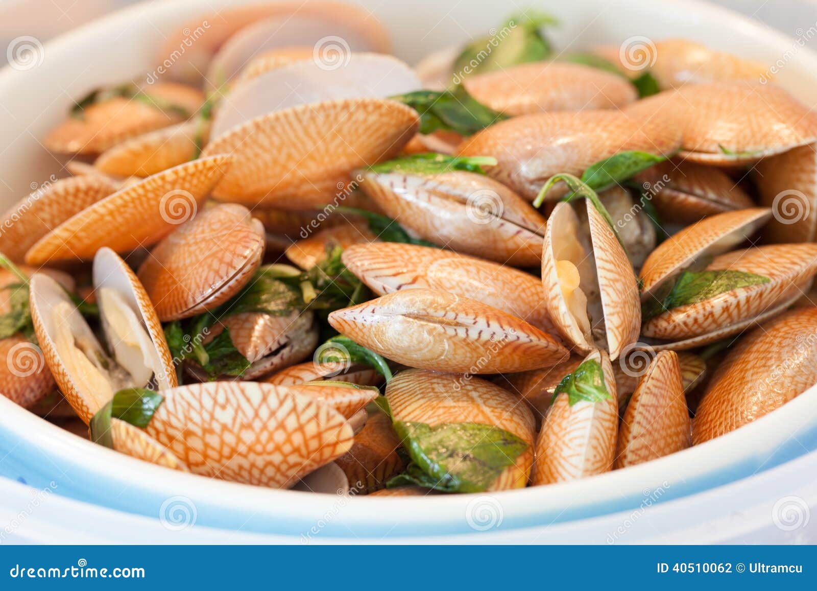 Thai Food Fried Basil and Clams Stock Photo - Image of sauce, protein ...
