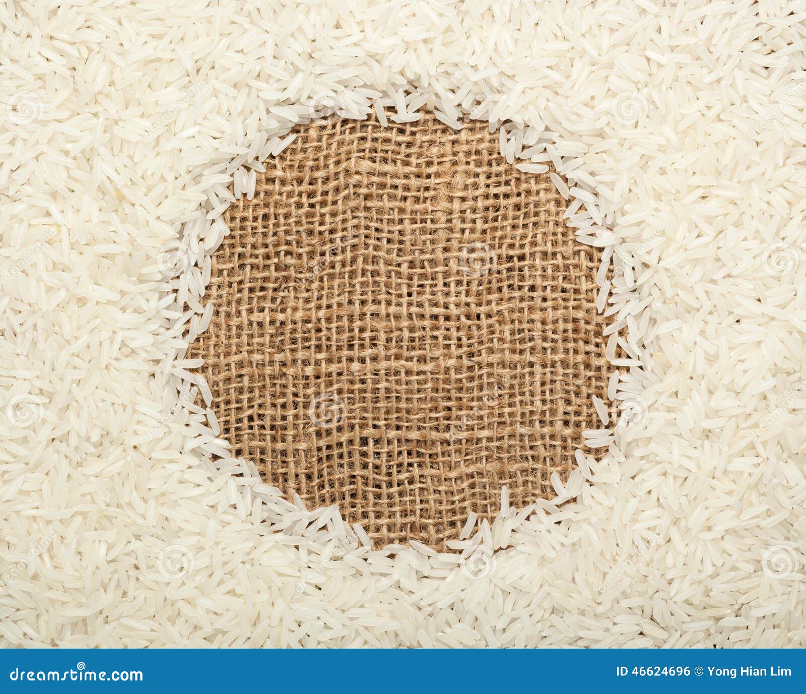 Thai fragrant jasmine rice stock photo. Image of copy - 46624696