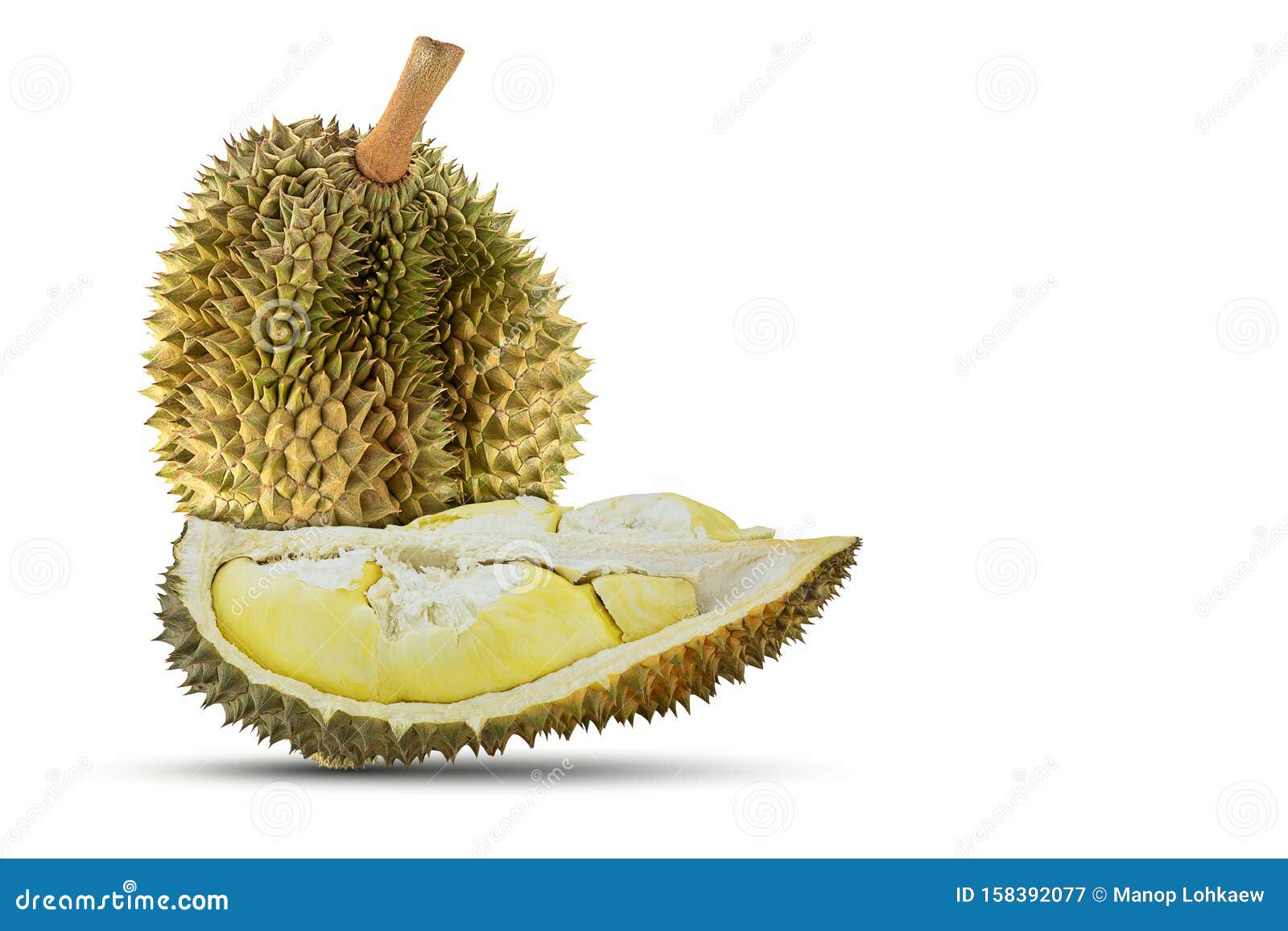 Fresh Durian Fruit on White Background Stock Image - Image of thorn ...