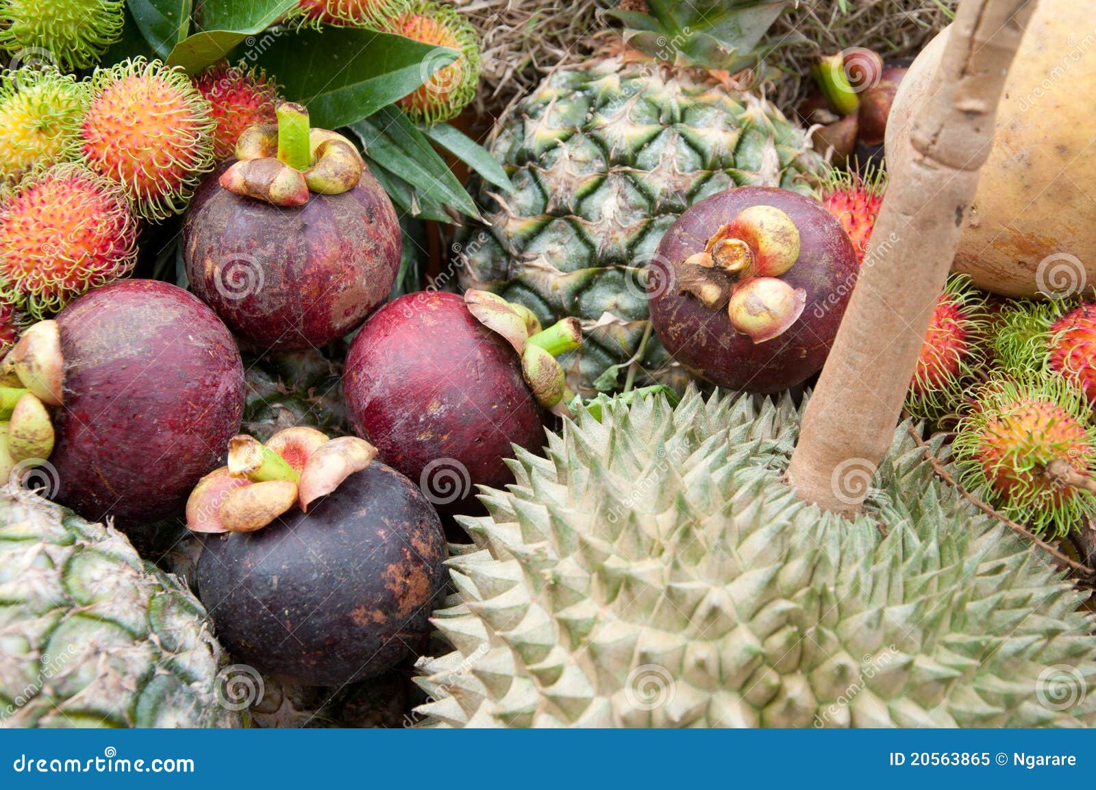 Thai fruit stock image. Image of durian, thai, tasty - 20563865