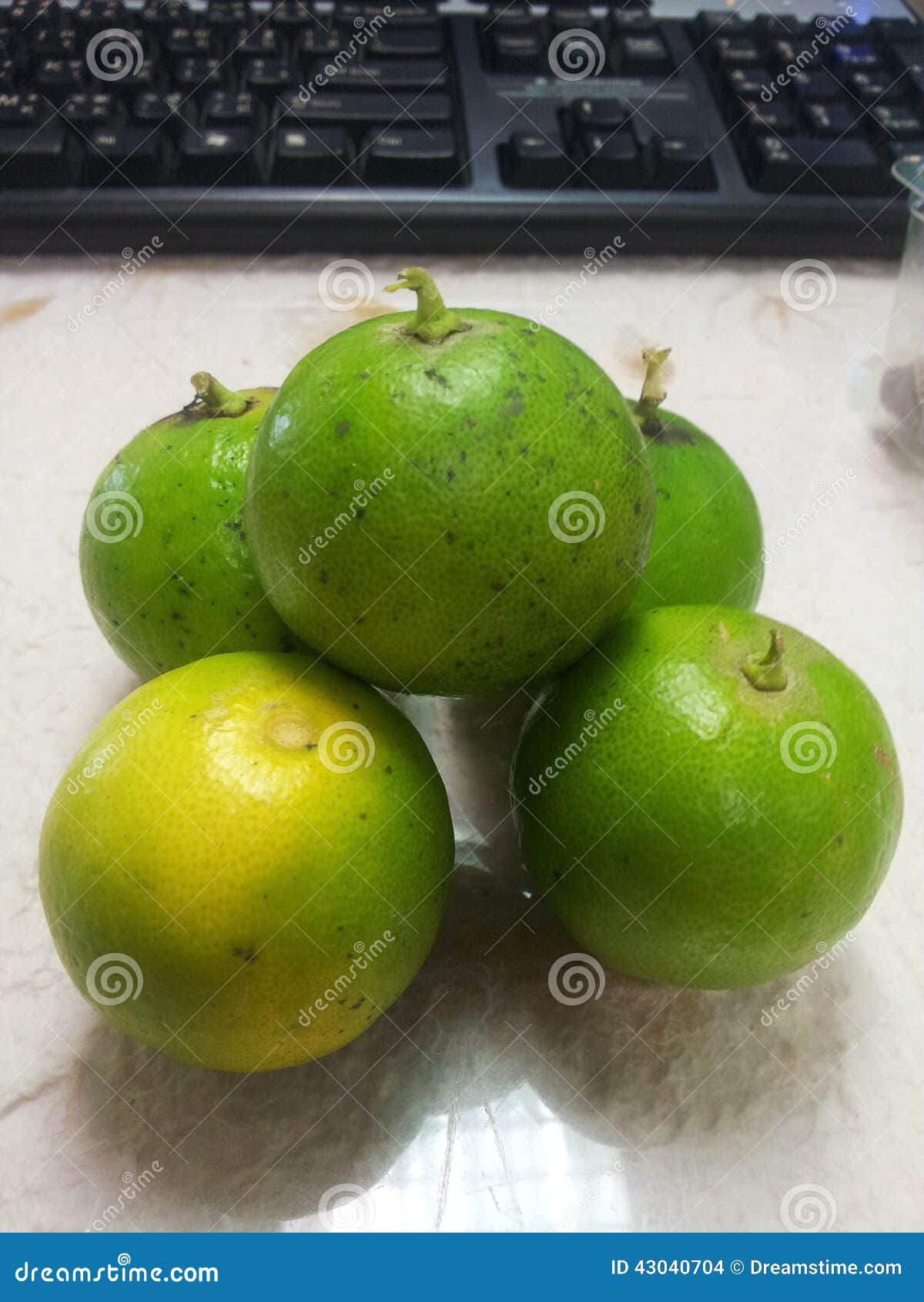 Lamon Thailand Stock Photos - Free & Royalty-Free Stock Photos from ...