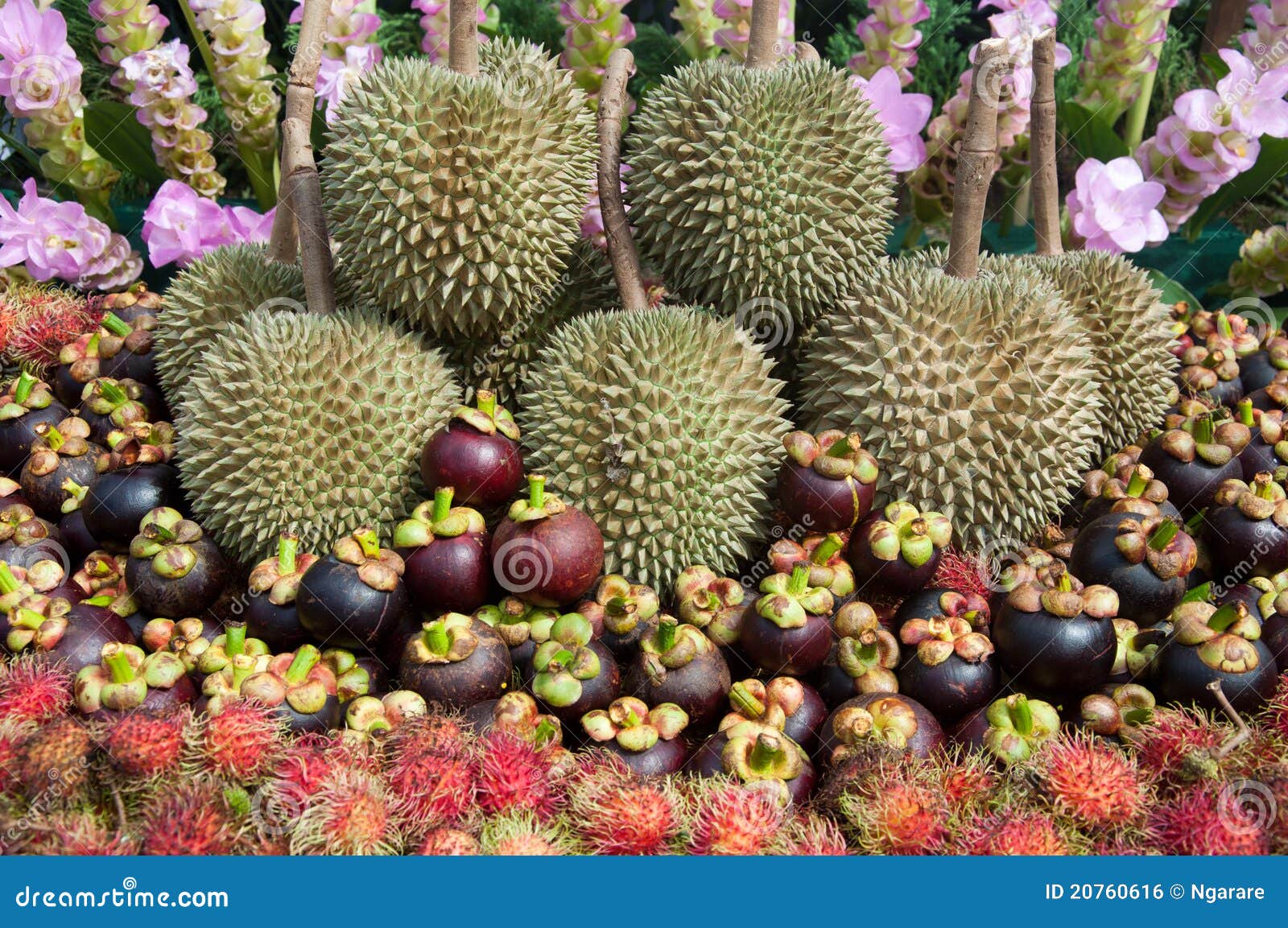 Thai fruits stock photo. Image of mangosteen, sweet, nature - 20760616
