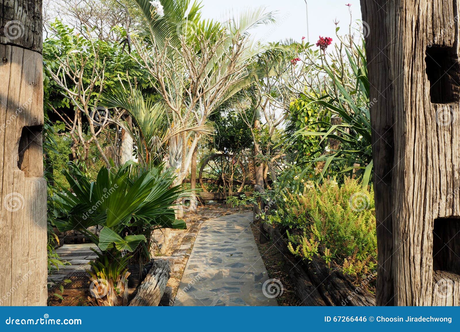 Thai garden stock photo. Image of beautiful, tree, lush - 67266446