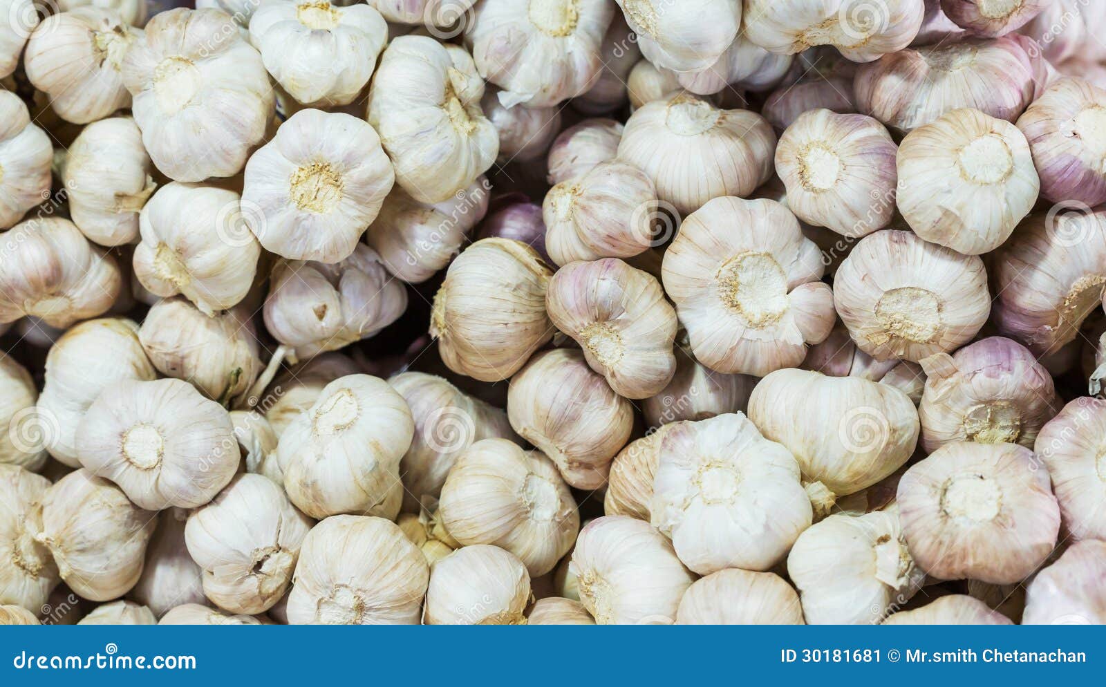 Thai garlics stock image. Image of asian, salad, garlic - 30181681