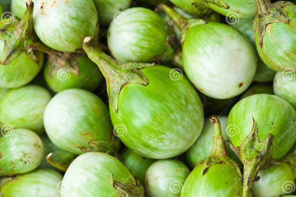 Thai Green Eggplant stock image. Image of produce, nature - 23516955