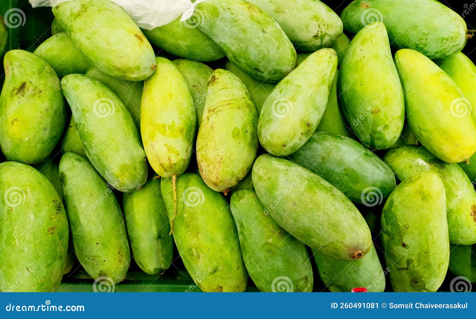 The Thai green mangoes stock image. Image of fresh, health - 260491081