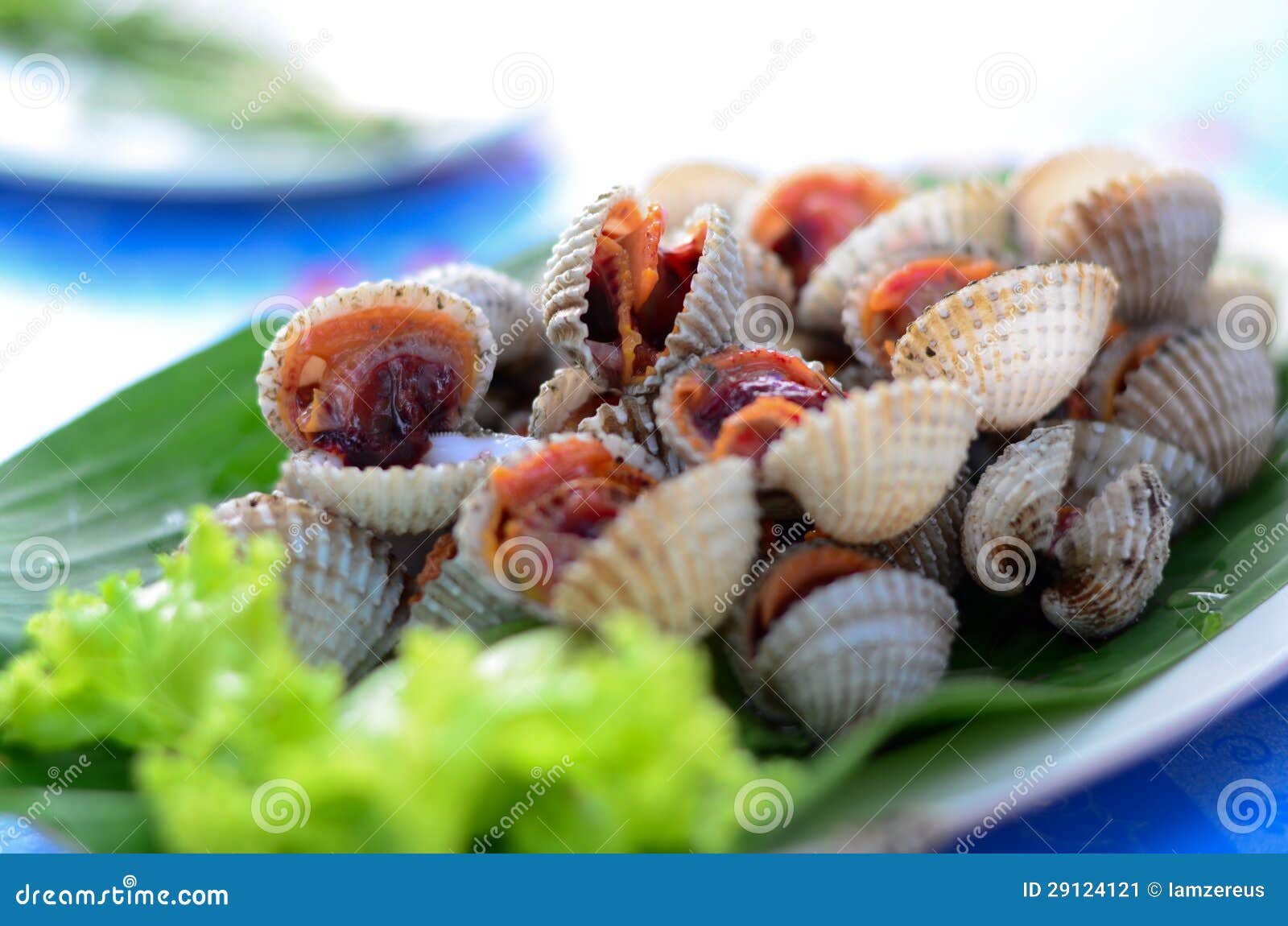 Thai grill shell stock image. Image of delicious, grill - 29124121