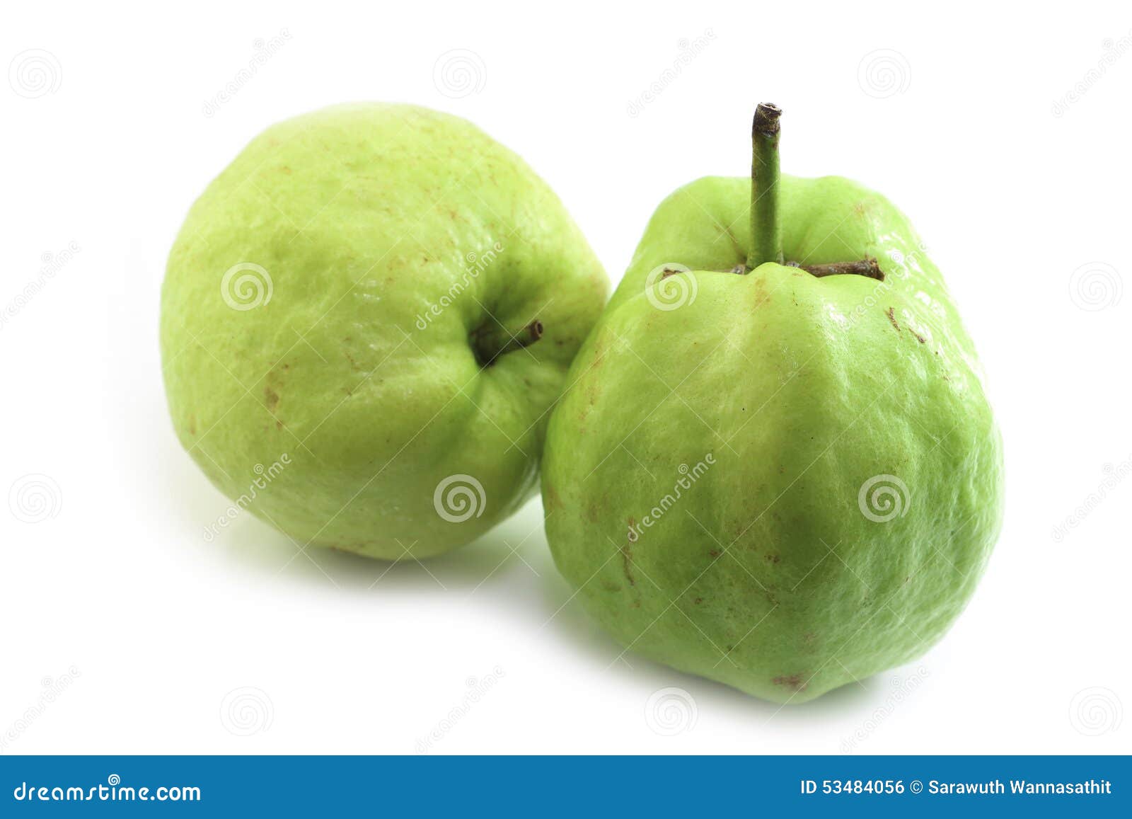 Thai guava sweet fruit stock photo. Image of guava, nutrition - 53484056