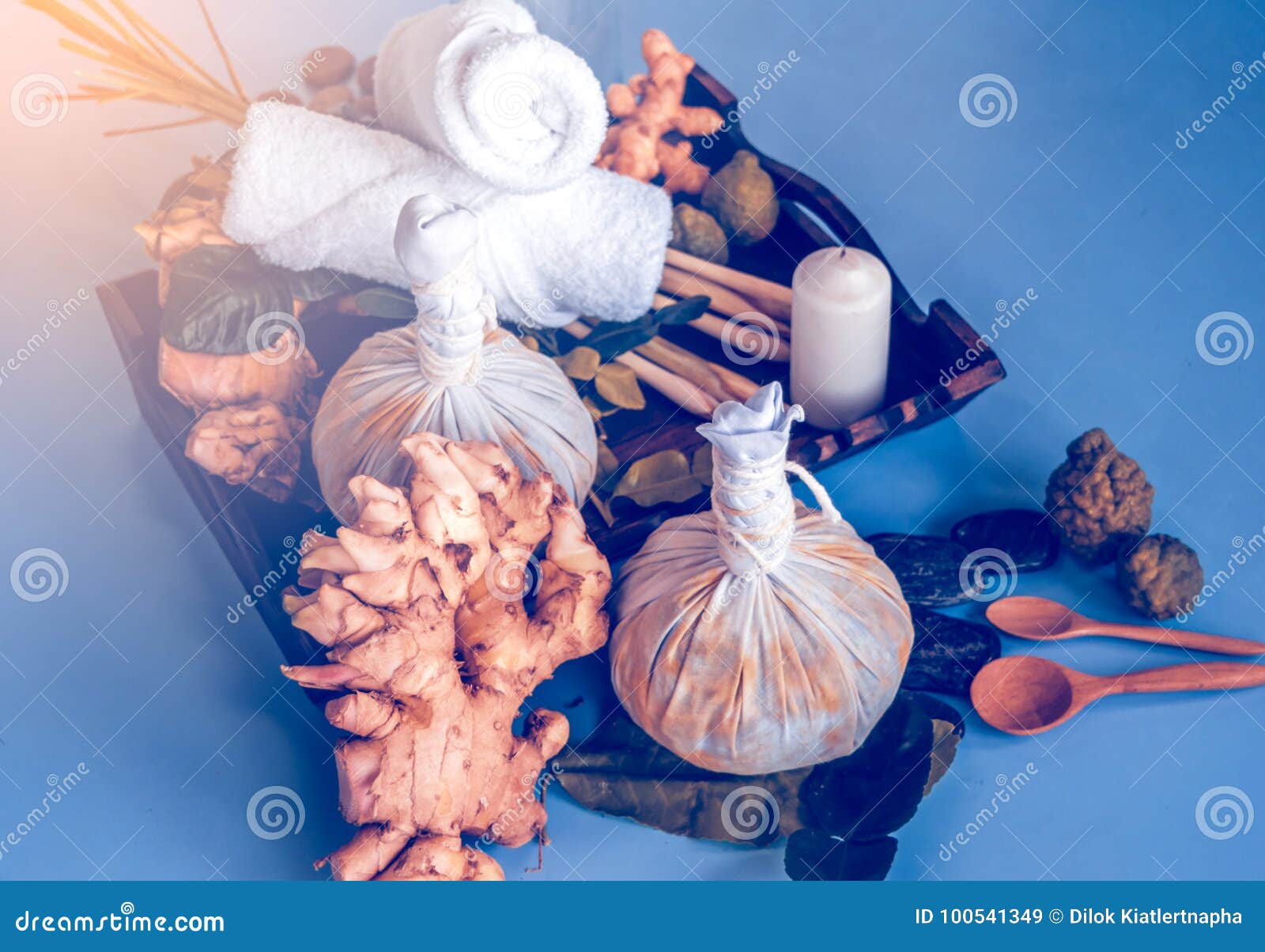 Thai Herb stock image. Image of borneol, herb, beauty - 100541349