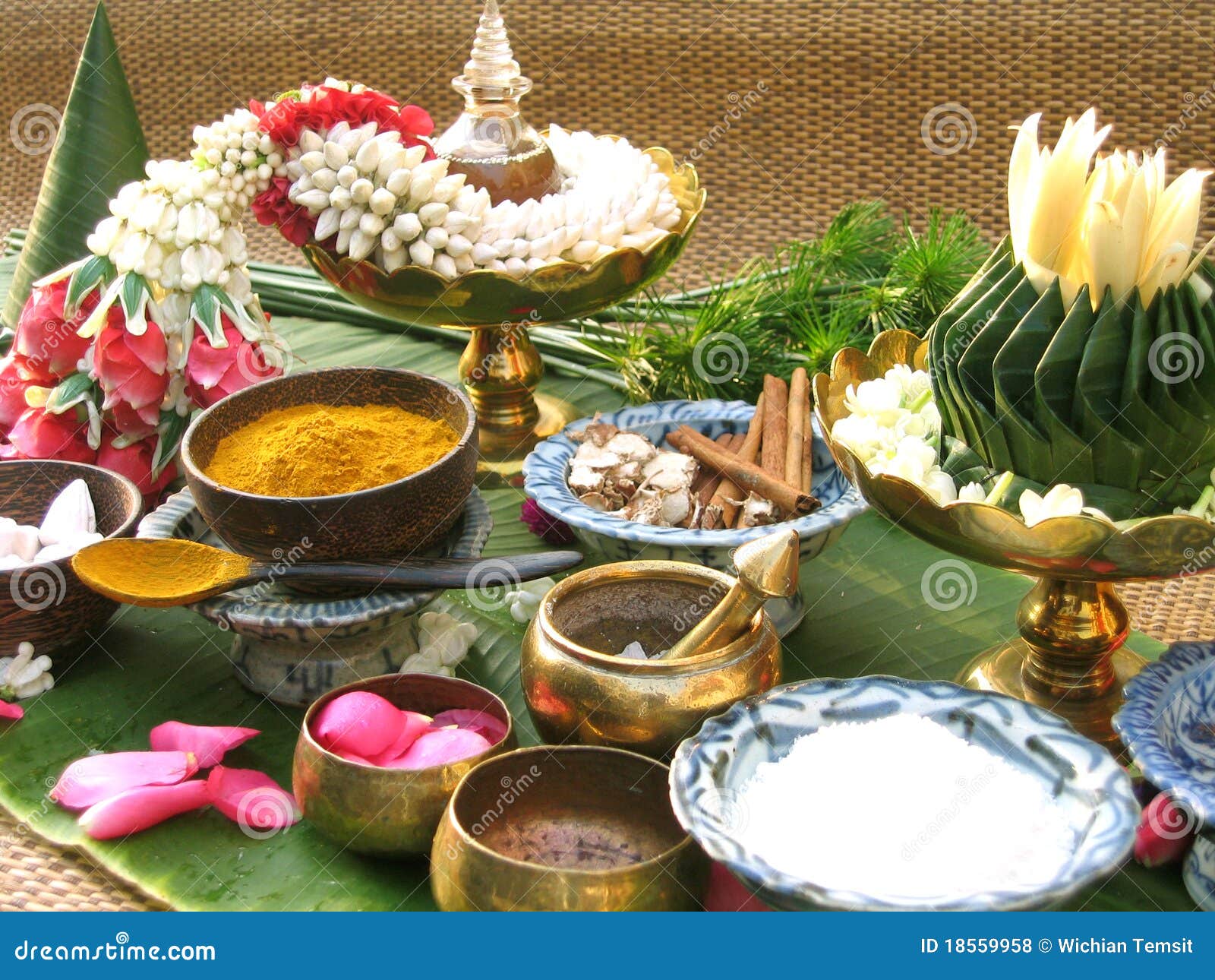 Thai Herbs stock photo. Image of galangal, flower, turmeric - 18559958